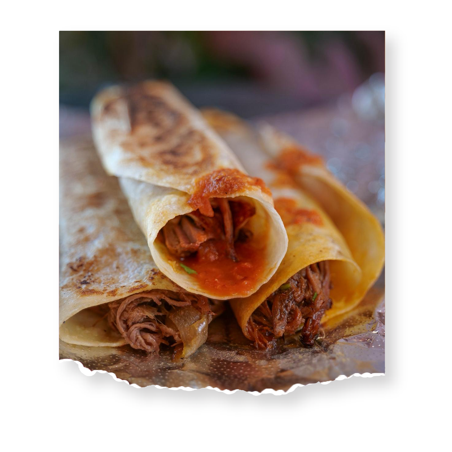 Mujer Divina Burrito & Coffee House – Establish Since 2020, The ...